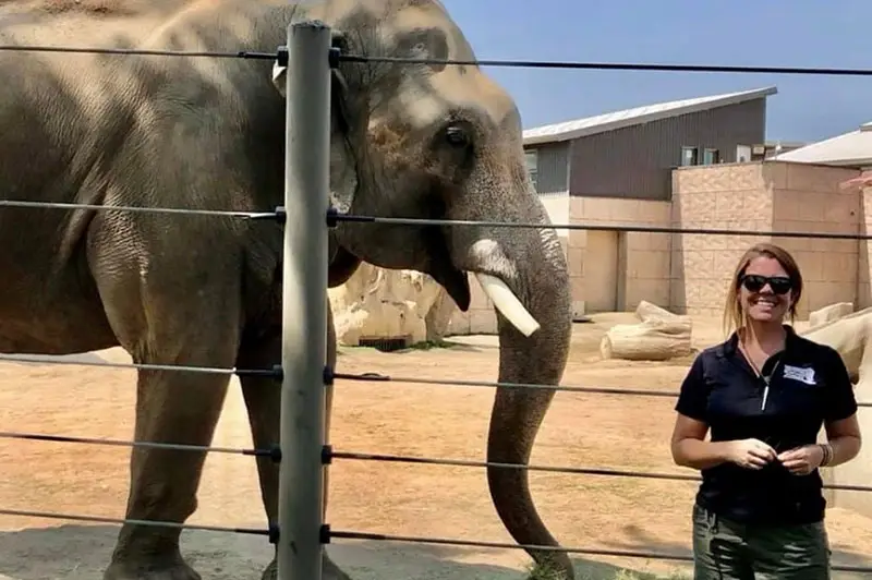 EEHV Advisory Group – EEHV Advisory Group